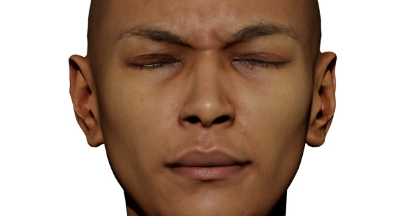 Expression Scan / Brows Down / Retopologised Female 01